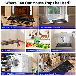 6 Pack Mixed Sizes Large Rat Traps, Heavy Duty Sticky Mouse Traps for House Indoor, Extra Strength Snake Traps for Mice Rat Snake Roach Lizard Spider Scorpion and Other Pests