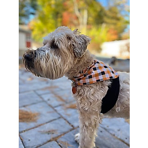 Calmr Dog SettleStrap for Help Calming Anxious & Active Dogs - Canine Pressure Strap for Comfortable & Effective Stress Relief for Dogs - Calming Dog Anxiety Vest - Dog Calming Device, USA Made, 40 in