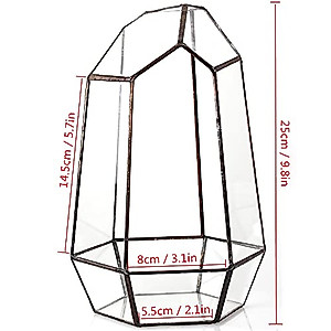 NCYP Geometric Glass Terrarium Planter for Air Plants Succulents (6.5x5.7x9.8Inches) Indoor Irregular Opened Glass Flower Pot, Home Garden Office Tabletop Decoration Container (No Plants, No Door)