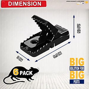 CANAANIN 𝐋𝐚𝐫𝐠𝐞 𝐑𝐚𝐭 𝐓𝐫𝐚𝐩𝐬 𝐌𝐨𝐮𝐬𝐞 𝐓𝐫𝐚𝐩𝐬 Indoor Outdoor 𝐒𝐧𝐚𝐩 𝐓𝐫𝐚𝐩 for Gophers 𝐂𝐡𝐢𝐩𝐦𝐮𝐧𝐤 𝐓𝐫𝐚𝐩 That Work Quick Effective Safe for Rodents Mouse Chipmunk 6 Pack
