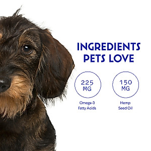 WONDER PAWS Organic Hemp Oil for Dogs – 9,000 mg of Hemp Oil with Alaskan Salmon Oil & Omega 3 Fatty Acids - Hemp for Pets, Joint Health, Anxiety Relief, Calming, Skin & Immune – 60 ml Hemp Oil Drops