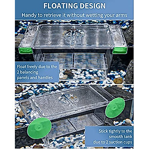Pawfly Aquarium Fish Breeding Box Acrylic Hatchery Incubator Tank with Suction Cups Small Isolation Box for Baby Small Fish Shrimp and Betta