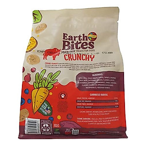 Suretails Earthborn Holistic Dry Dog Food, 32 Ounces, Bison Protein, Grain-Free Dog Treats Bundle with Silicon Pet Bowl - Includes Rope Toy & Animal Facts Booklet Dog Buiscuits [Pack of 1]