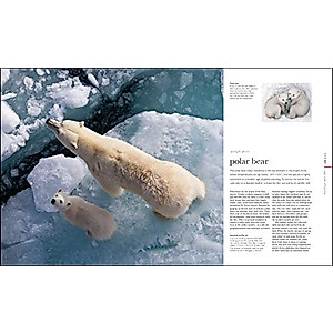 Zoology: Inside the Secret World of Animals (DK Secret World Encyclopedias)