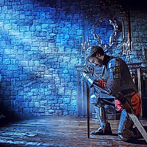 Chuangdi Brick Stone Wall Stone Wall Scene Setter Brick Sheet Wallpaper Curtains Door Removable Brick Tablecloth Photo for Halloween Mardi Gras Party Home Decoration(4.5 x 33 Ft, 6 Sheet)