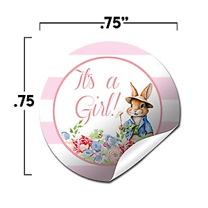 Little Rabbit Girl Baby Shower Kiss Sticker Labels, 300 Party Circle Stickers Sized 0.75 inches for Chocolate Drop Kisses by Amanda Creation, Great for Favors, Treats, Envelope Seals & Goodie Bags
