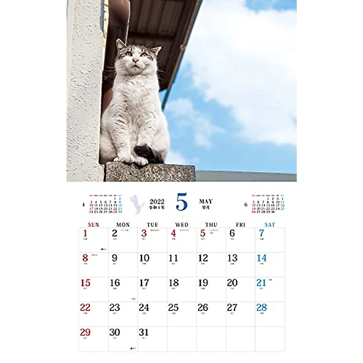 そとねこ (インプレスカレンダー2022)