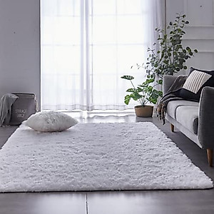 TABAYON Shaggy White Rug, 2x3 Area Rugs for Living Room, Anti-Skid Extra Comfy Fluffy Floor Carpet for Indoor Home Decorative