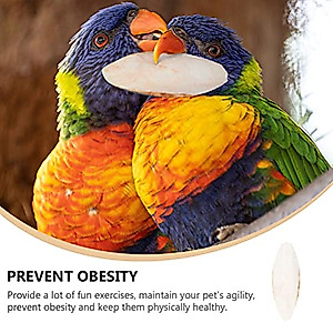 EXCEART 30pcs Bird Cuttlebone Natural Cuddle Bone Bird Beak Stone Beak Grinder Parrot Chew Toys Molar Toy for Parakeets Cockatiel Macaw