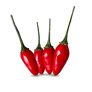 Pepper Joe’s Guam Boonie Pepper Seeds ­­­­­– Pack of 10+ Rare Hot Chili Pepper Seeds – USA Grown ­– Premium Non-GMO Boonie Pepper Seeds for Planting in Your Garden
