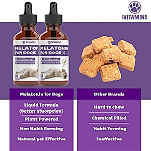 Melatonin for Dogs | Dog Melatonin | Melatonin for Dogs Sleep | Sleep Aid for Dogs | Dog Sleep Aid | Dog Calming | Calming for Dogs | Dog Calming Treats | Dog Anxiety Relief | (2 Pack)