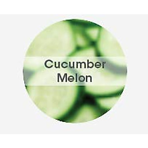 NASSCO Wave 3D Enzymatic Urinal Screen, Cucumber Melon, 10 per Box