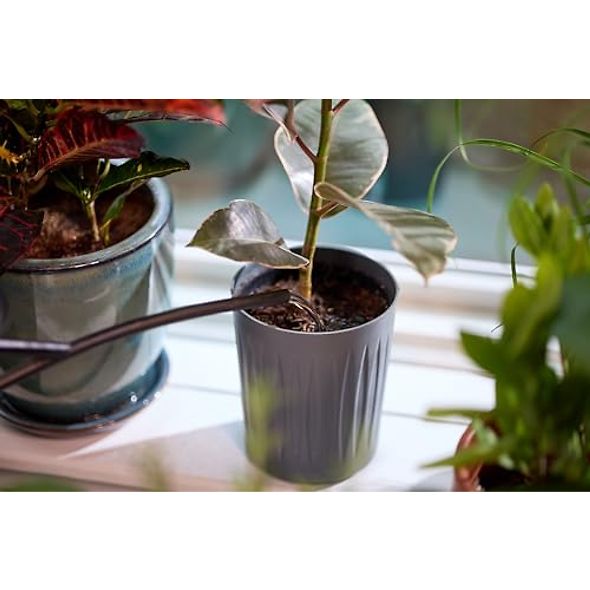 950mL 12-4-8 Liquid All Purpose Fertilizer