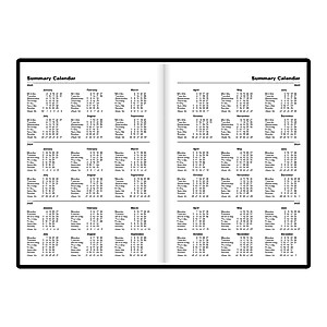 Letts of London Standard Daily Planner, 12 Months, January to December, 2024, Day-Per-Page, A4 Size, 11.75" x 8.25", Black (C10ZBK-24)