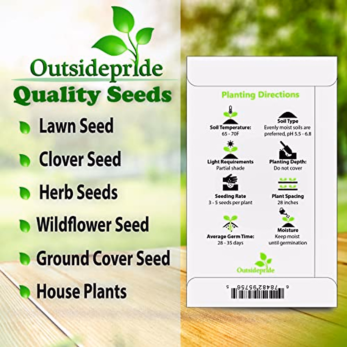 Outsidepride Astilbe Arendsii Bunter Garden Flower Plant Seed - 2000 Seeds