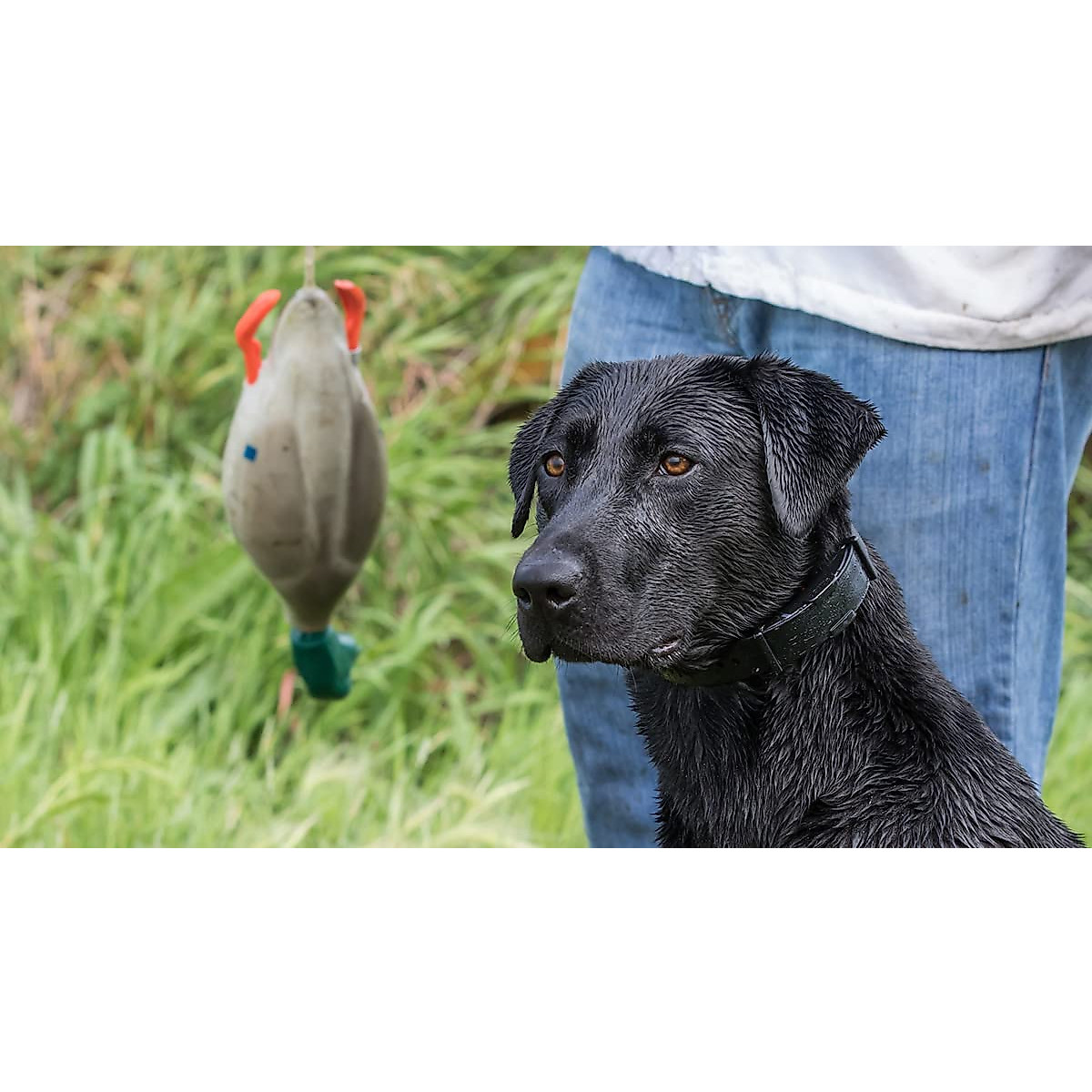HUNTARMOR Duck Dummy Bumper Toy: Bird Training Dummy for Training Hunting Dogs, Mimics Dead Duck Bumper Toy for Waterfowl Hunting Retriever Dog Training, Dog Bumper Hunting Dog Accessories