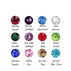 Birthstone Stethoscope ID Tag with Birthstone charm, Stethoscope Name Charm, Stethoscope Name Tag, Nurse Appreciation Gift, Nurse Graduation Gift, Pinning Ceremony, International Nurse Day