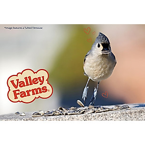 Valley Farms Striped Sunflower Wild Bird Seed for Outside Feeders, Striped Sunflower Seeds for Birds, Sunflower Wild Bird Food (25 LBS)