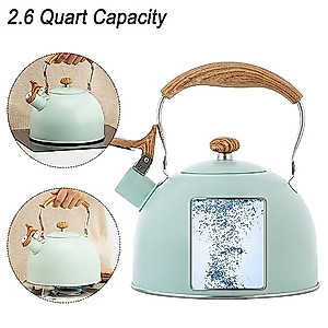 Tea Kettle,2.6 Quart Whistling Tea Kettle,Teapot for Stovetop,Food Grade Stainless Steel Teapot with Wood Pattern Handle, Loud Whistle Kettle for Tea, Coffee, Milk(Green-2.6 Quart)