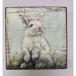 Primitives by Kathy Home Décor Sign With a Bunny in Dandelions: perfect for home, office, housewarming, gift,6" x 6" x 1"