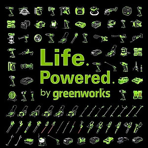 Greenworks 24V 2.0Ah Lithium-Ion Battery (Genuine Greenworks Battery / 125+ Compatible Tools)
