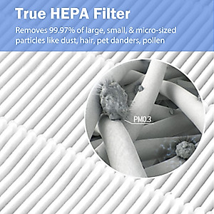 HP201 HEPA Replacement Filter Compatible with Shark HP201 HP202 HP301 HP302 UA205 AP1000 HC501 HC502 Air Cleaner Purifier MAX, Compare to # HE2FKBASMB & HE2FKBAS 2 Pack