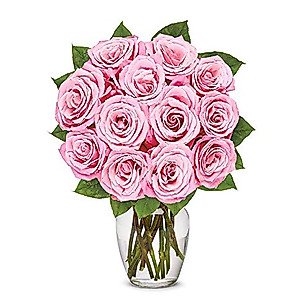 From You Flowers - One Dozen Light Pink Roses with Glass Vase (Fresh Flowers) Birthday, Anniversary, Get Well, Sympathy, Congratulations, Thank You