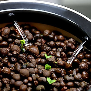 Botanium Hydroponic and Automatic Indoor Gardening Pot, White