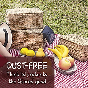 Set of 3 Pack Nesting Storage Baskets with Lids and Insert Handles for Home Organization | Small Closet Wicker Lidded Baskets for Shelves | Straw Wire Woven Storage Baskets with Lids (Water Hyacinth)