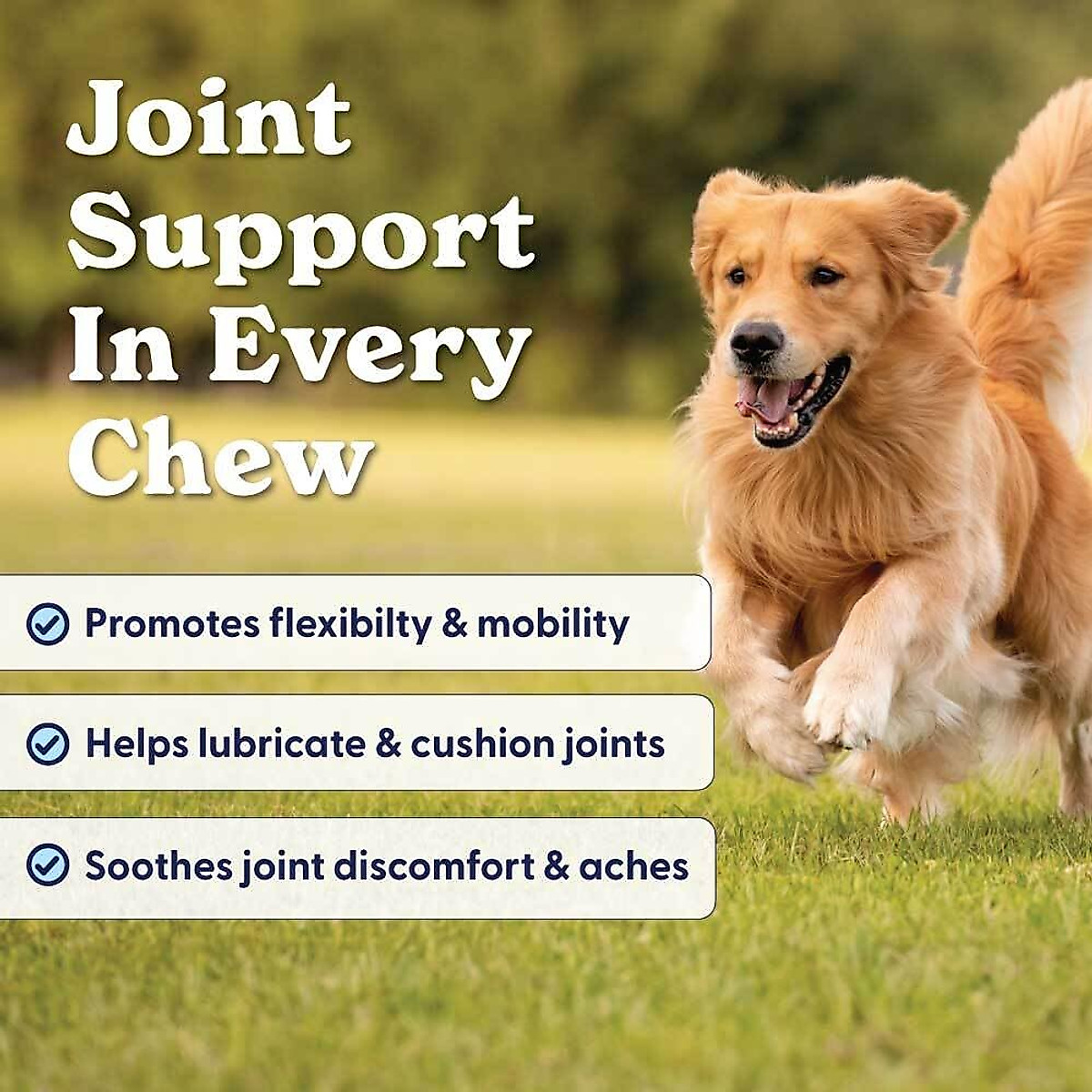 Origin Labs - Revive Mobility Hip & Joint Support Beef Soft Chews for Dogs | Glucosamine Chondroitin MSM & Green Lipped Mussels | Grain & Corn Free, 90 Count