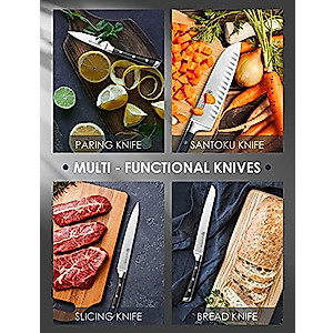 Kitchen Knife Set - 1829 CARL SCHMIDT SOHN 15 Pieces Knife Block Set with Sharpener, Forged Stainless Steel, Professional Chef Block Set with Ergonomic Handle, Kitchen Tool Set, World-Class Sharpness