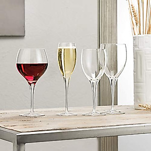 Luigi Bormioli Michelangelo Gold White Wine Stem 12.75oz, Set of 4, 4 Count (Pack of 1),