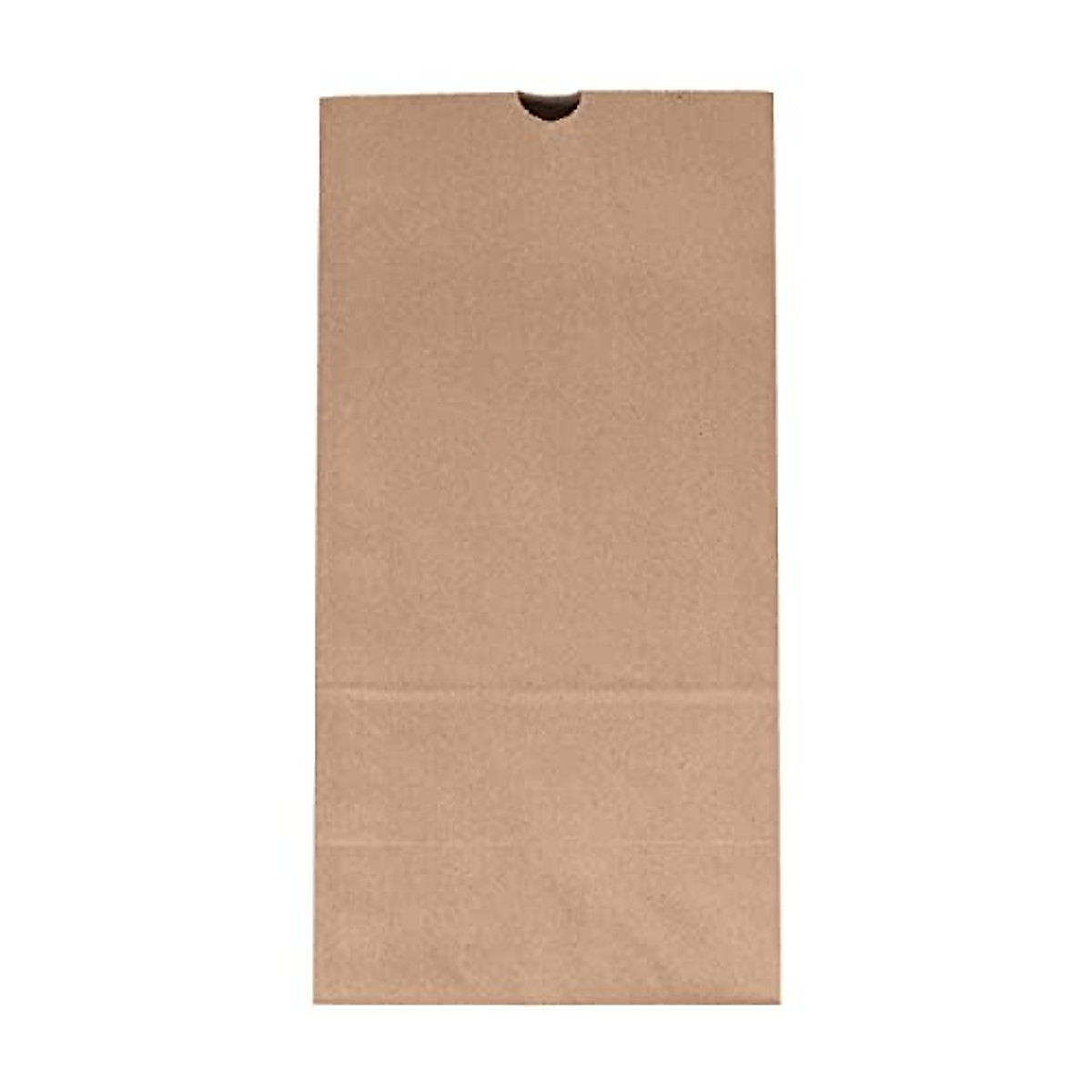 Karat 20 LB Paper Bag (Kraft) - 500 ct