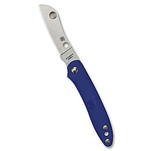 Spyderco Roadie Non-Locking Lightweight Knife with 2.09" N690Co Stainless Steel Blade and Durable Blue FRN Handle - PlainEdge -C189PBL