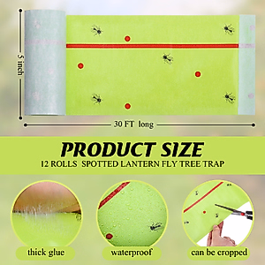 Qualirey 6 Rolls Spotted Lantern Fly Traps 30 Feet Each Roll Fly Tree Trap Sticky Fly Strips Outdoor Fruit Fly Glue Trap Disposable Fly Tree Tape Indoor Fly Paper Sheets for Protecting Trees (Green)