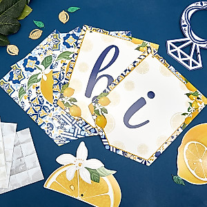 Lemon Bridal Shower Decorations - Yellow and Blue Bride To Be Banner, Lemon and Diamond Ring Garland, Fruit Lemon Theme Bachelorette Party Decorations