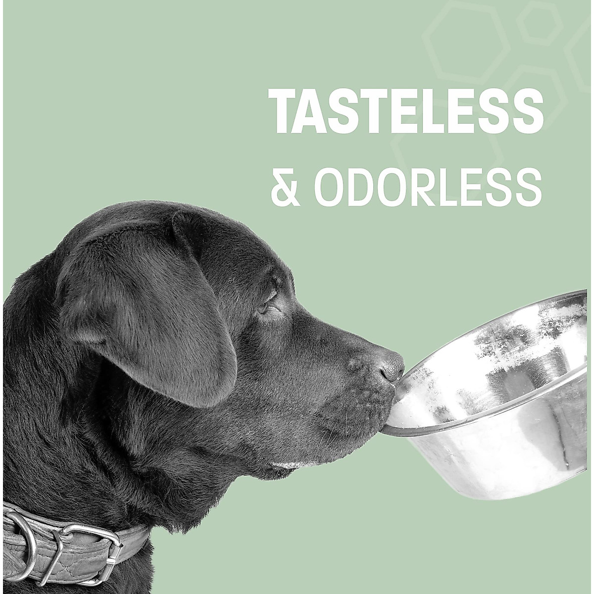 Pet Health Pros Dog Breath Water Additive - Cat & Dog Water Additive for Dental Care - Dog Dental Water Additive for Dogs Teeth and Bad Breath Treatment for Dogs and Cats - Odorless & Tasteless - 8 oz