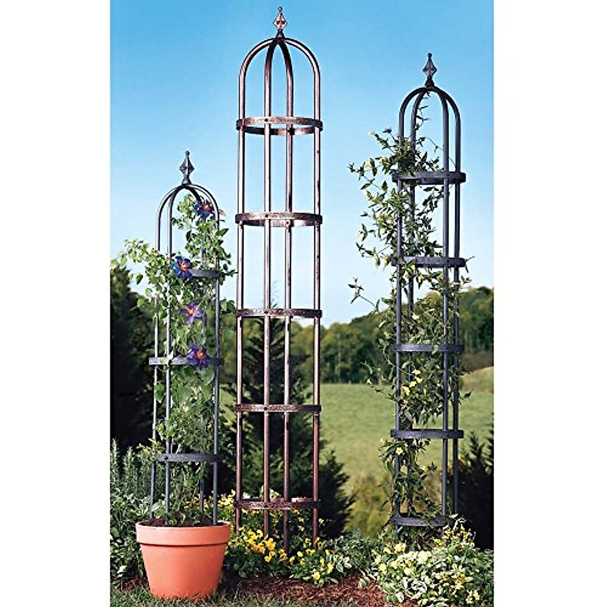 Plow & Hearth Metal Garden Obelisk | Indoor/Outdoor | Powder-Coated Steel | Trellis for Climbing | Floral Pattern | 11" Dia. x 8'H | Bronze
