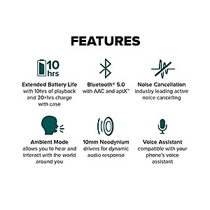 Cleer Audio, Ally Plus, True Wireless Hybrid Noise Cancelling Earbuds with 30 Hour Battery, Water Resistant, Music & Calls (Navy)