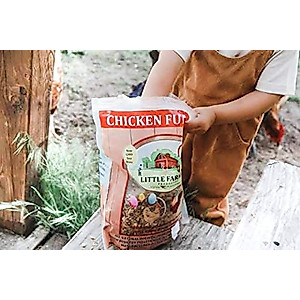 LITTLE FARMER PRODUCTS Chicken Fun-DOO Non-GMO, Soy-Free Chicken Treat | Premium Poultry Meal Worm, Vegetable & Herb Mix (3 lbs)