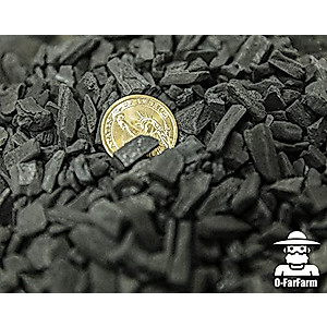 O-FarFarm Horticultural Charcoal for Potted Plants 2 QT, Hardwood Charcoal for Potting Soil Amendment, Orchids, Terrariums, and Gardening