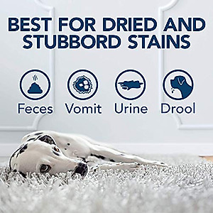 Simple Solution Oxy Charged Pet Stain and Odor Remover | Eliminates Pet Stains and Odors with 3X Cleaning Power | 1 Gallon