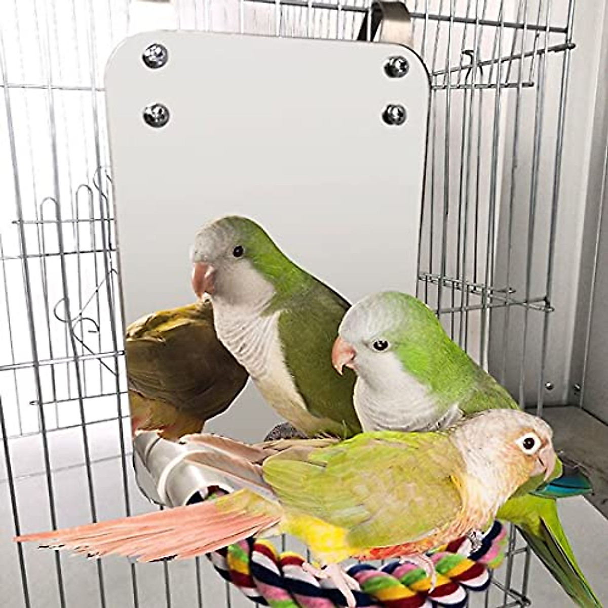 Hamiledyi 7 Inch Bird Mirror with Rope Perch,Parakeet Cage Mirror Parrot Swing Toys for Greys Cockatoo Cockatiel Conure Lovebirds Canaries