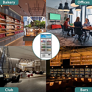 18 Cu. Ft. Commercial Refrigerators Glass Door, Commercial Beverage Fridge, Commercial Merchandiser Refrigerator for Beer, Bar, Drink, Display Upright Beverage Refrigerator Cooler, Silver ﻿