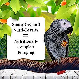 LAFEBER'S Sunny Orchard Nutri-Berries Pet Bird Food, Made with Non-GMO and Human-Grade Ingredients, for Parrots, 20 lb