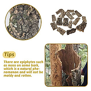 Hamiledyi Reptile Bark Bedding Tortoise Cork Bark Flats Natural Bulk Terrarium Cork Wood Tank Substrate Supplies for Snake Spiders Bearded Dragons Hermit Crabs Geckos (1 LB)