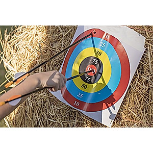 Bear Archery Youth Safety Glass Arrows, Durable & Splinter-Free Fiberglass Arrows, Nocks and Points Included, 28" Length