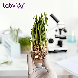 Labvida 6pcs 300ml Upgrated Thick Glass Beakers, Griffin Low Form Beaker Set with Double Scale, 3.3 Boro,LVA021