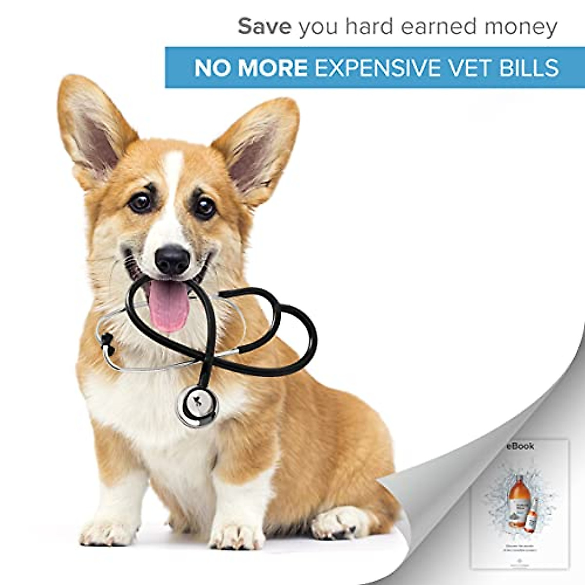 Premium Colloidal Silver 300ml 40ppm ● For Pets (Dogs, Cats, Fish) ● & Spray to Fill ● 100% Natural ● Higher Concentration, Smaller Particles = Better Results ● Lab Certified ● For Ear, Eyes, Skin