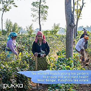 Pukka Tea Variety Pack, Organic Herbal Tea Bags, Five Flavors; Elderberry & Echinacea, Lemon, Ginger & Manuka Honey, Night Time, Three Mint and Detox, (Pack of 3), 60 Tea Bags